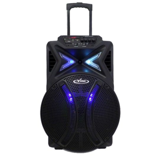 قیمت و خرید اسپیکر چمدانی Vanmaax MAX-300 - پیشتاز رایان